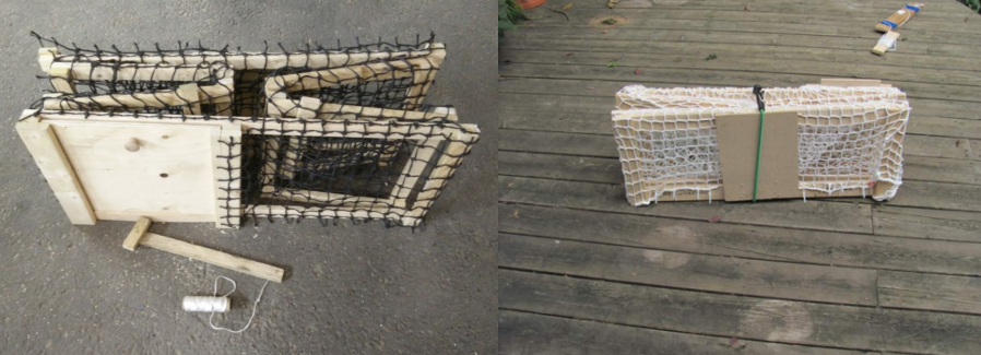 Humane Traps | toronto street cats